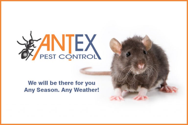 Antex Pest Control Ltd. - Ladysmith Chamber of Commerce Member