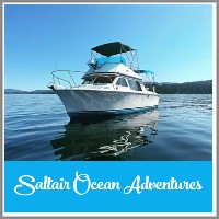 Saltair logo - Ladysmith Chamber of Commerce